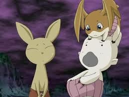 Patamon - Digimon Frontier ~ MEU×DIGIMON