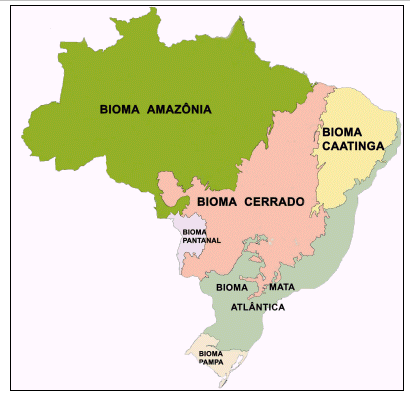 Professor Wladimir - Geografia: BRASIL - Mapas de Biomas, Ecossistemas ...