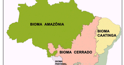 Professor Wladimir - Geografia: BRASIL - Mapas de Biomas, Ecossistemas ...