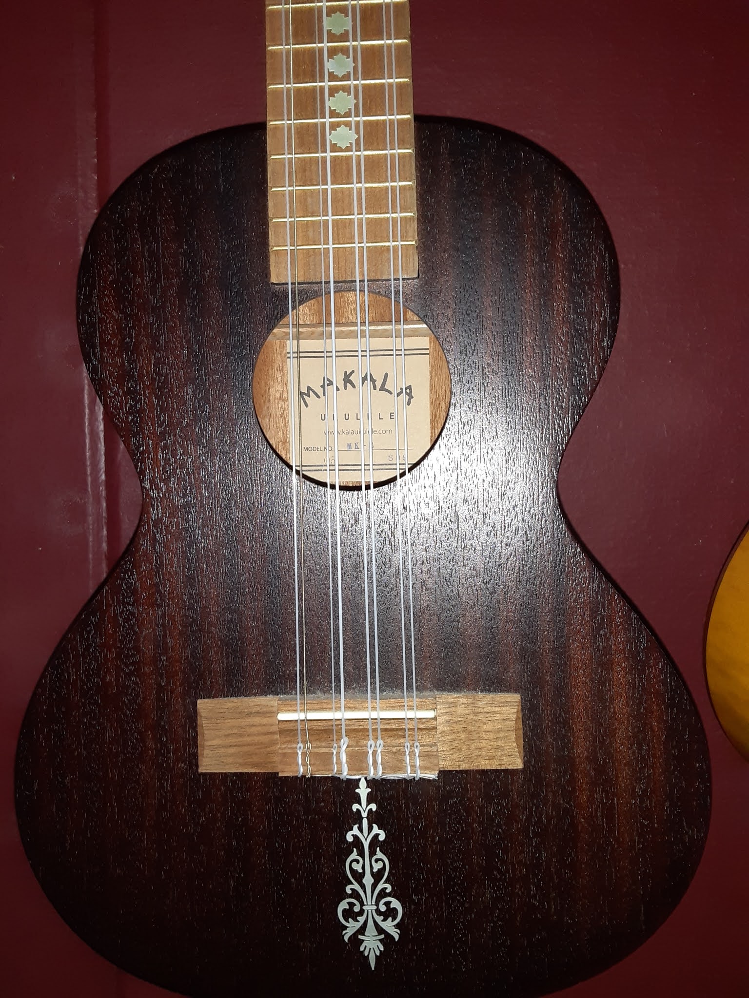 What Is An 8 String Ukulele?