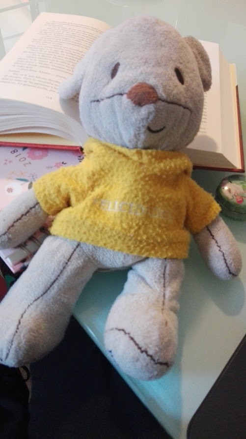 HISTORIA de UN OSITO | Paloma Lahoz