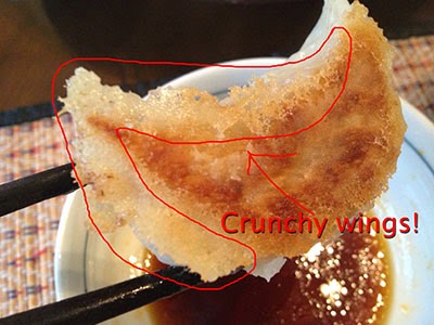 Purple Plum Bonanza: The Very Best Gyoza!