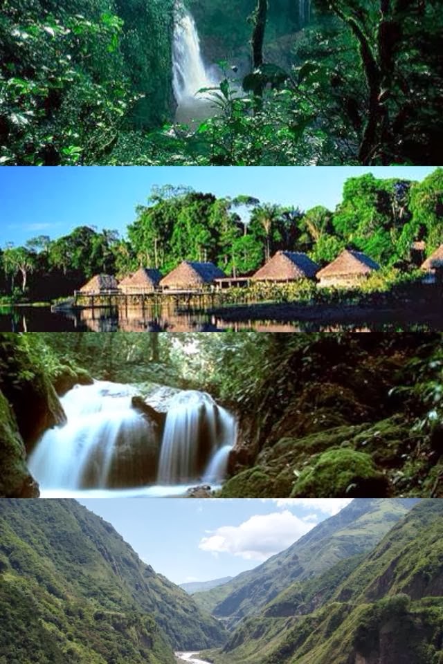 Gastronomía Ecuatoriana: Gastronomía De La Región Amazónica