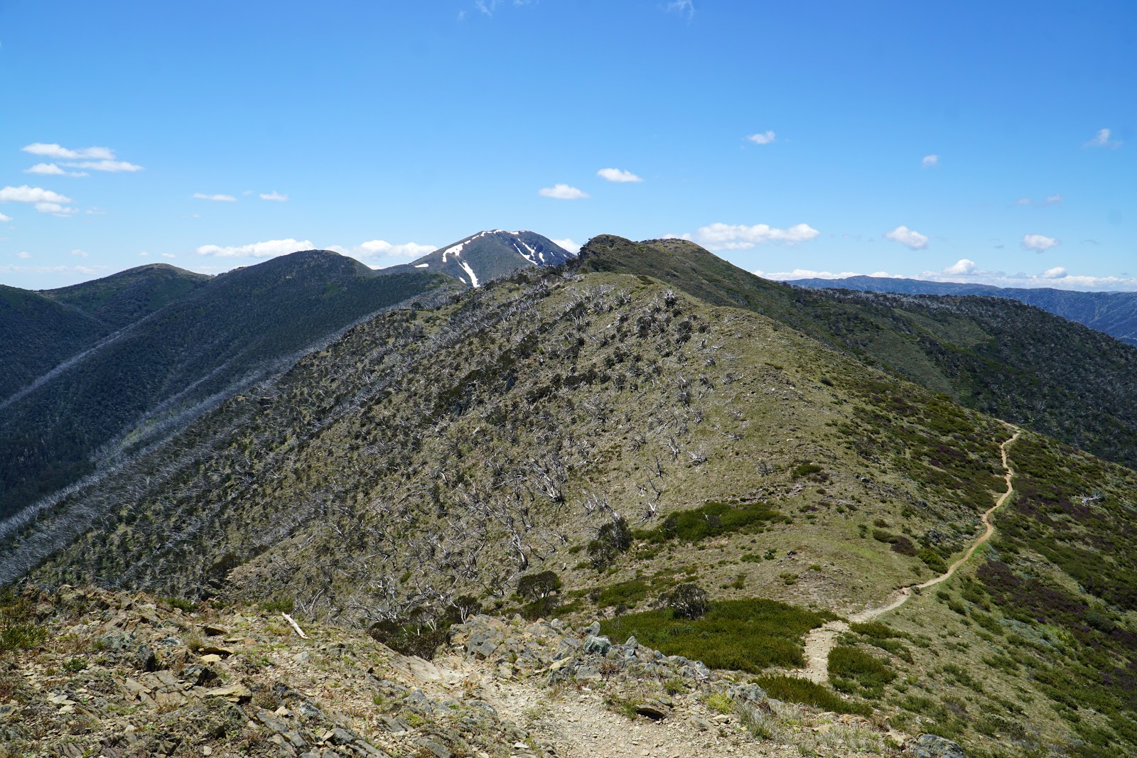 Mt Feathertop via the Razorback (Alpine NP) ~ The Long Way's Better