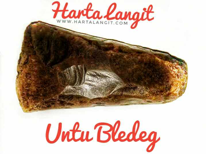 Misteri dan Khasiat Batu Gigi Petir (Untu Bledeg) - Harta Langit