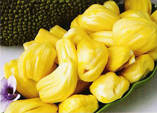 Jack Fruit (Jak)