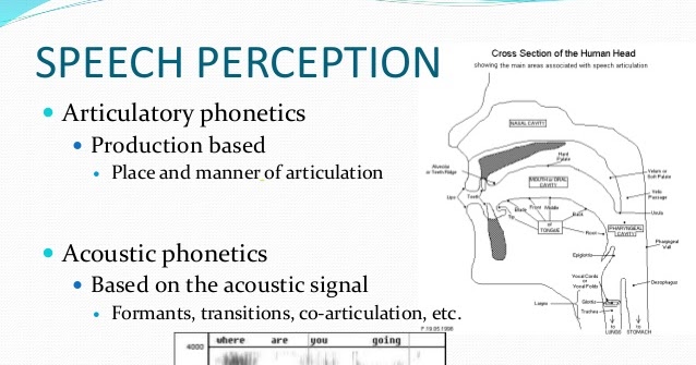 Stages in First Language Acquisition: Theories of Speech Perception