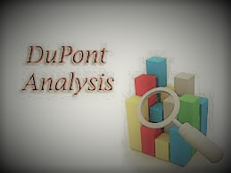 Du Point Analysis - Chinar Technology