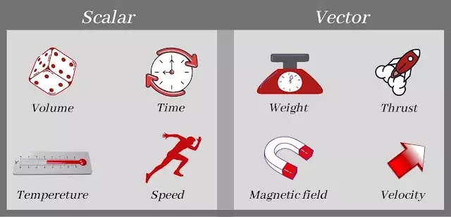 What are Scalars and Vectors in Physics?