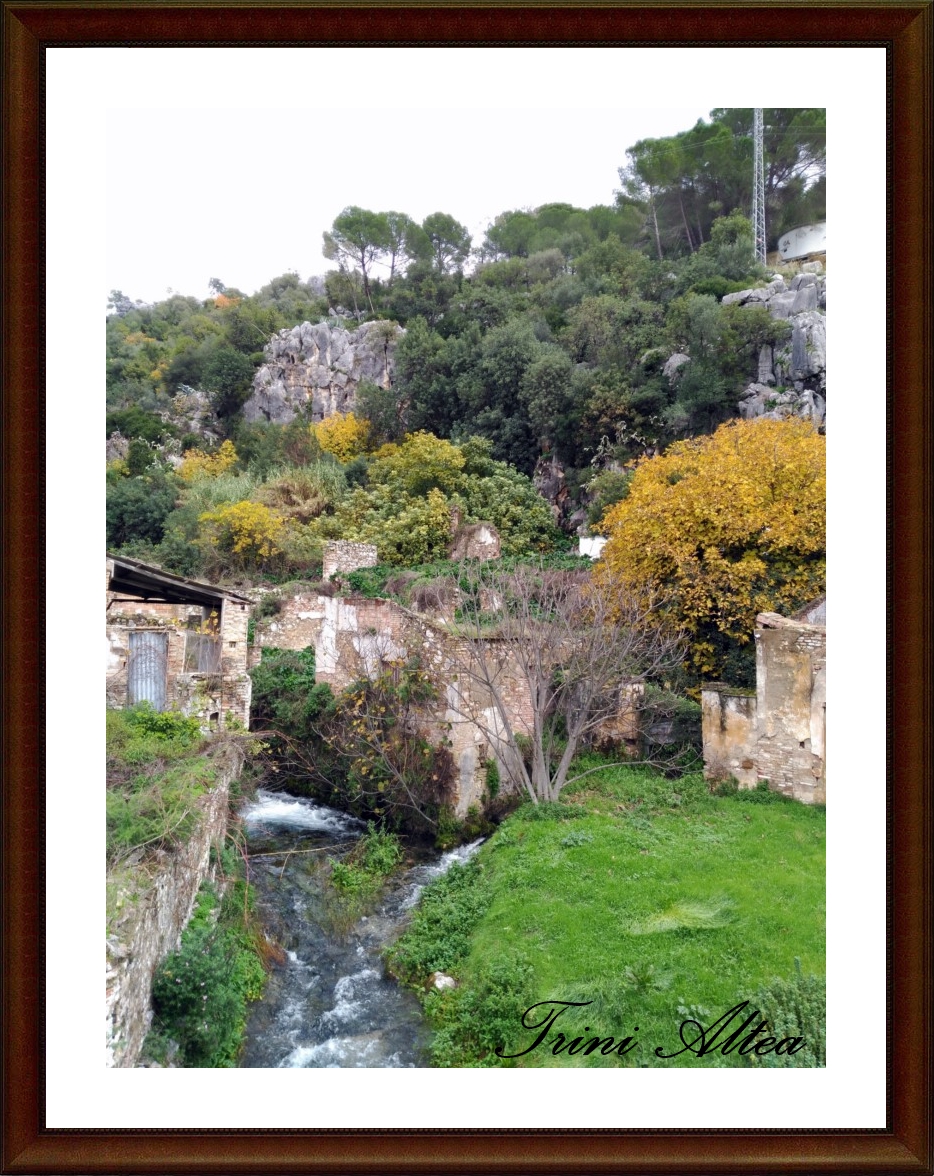 SENSACIONES EN FOTOS: UBRIQUE EN LA SIERRA DE CÁDIZ