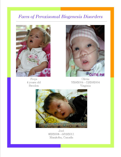 Faces of Peroxisomal Biogenesis Disorders