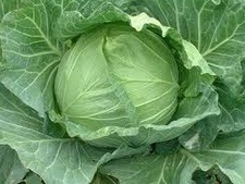 KUBIS ~ PUSAT SUMBER SK ST. MARY, KL