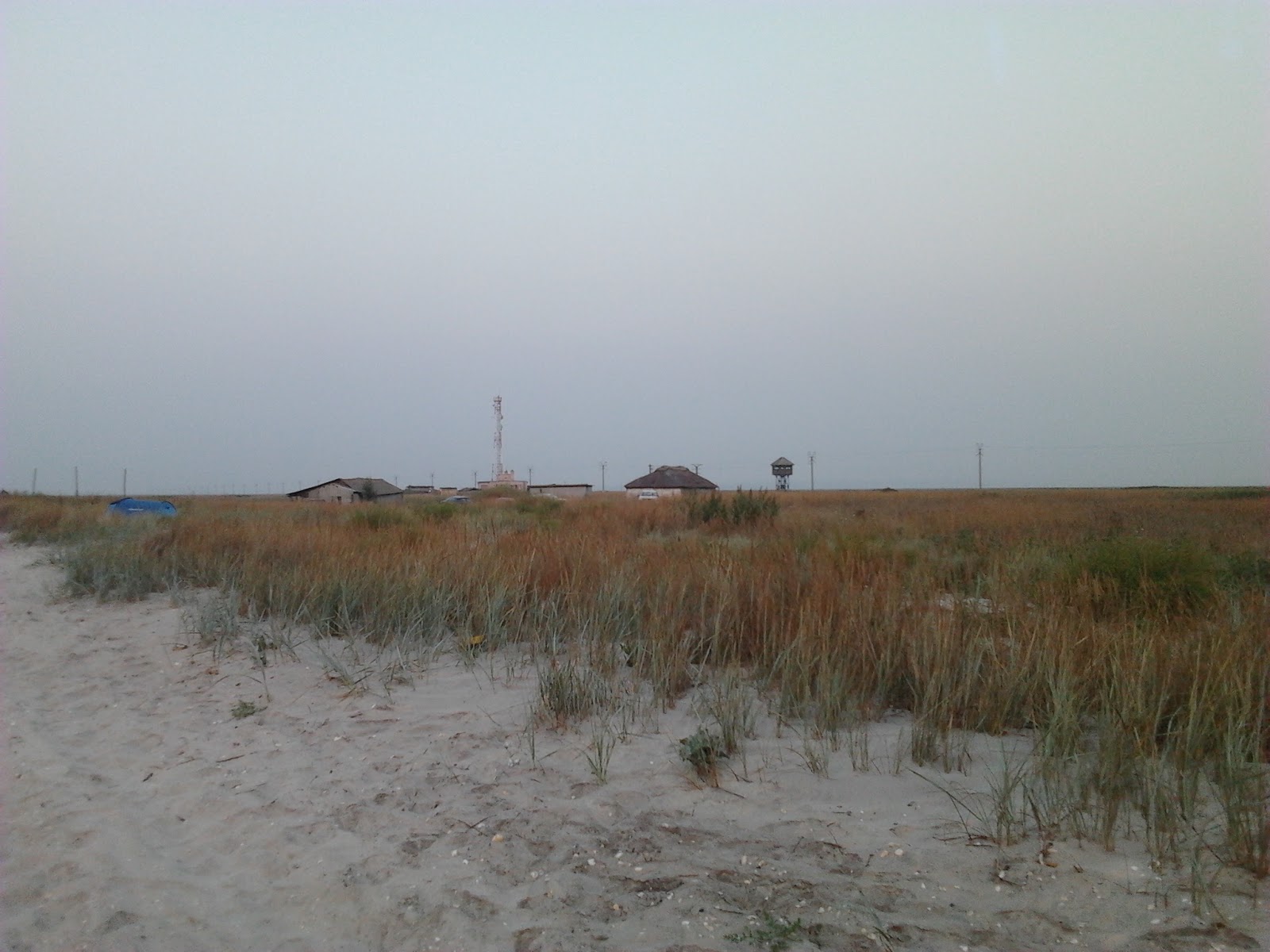 Grindul Chituc - wild wetland