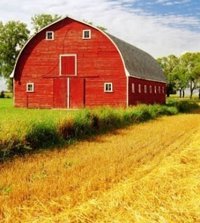 33 Amazing Red Barn Building Design Ideas | ARA HOME