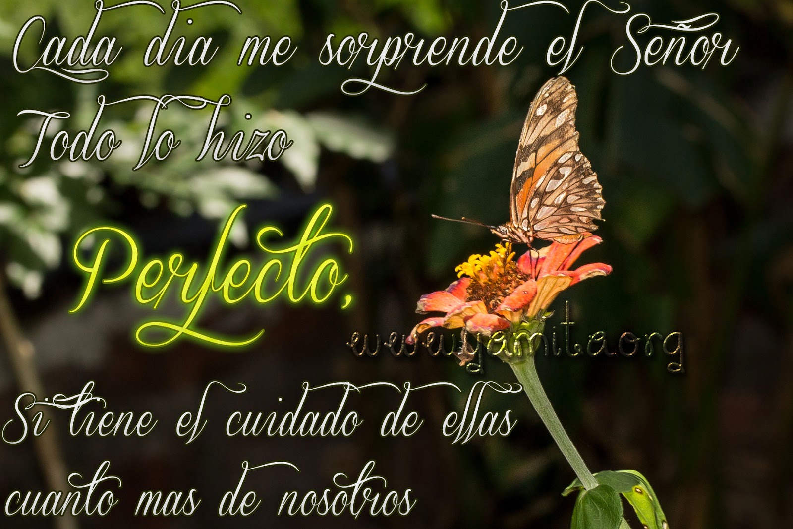 Cada Dia Me Sorprende El Señor Todo Lo Hizo Perfecto Tarjetas Cristianas