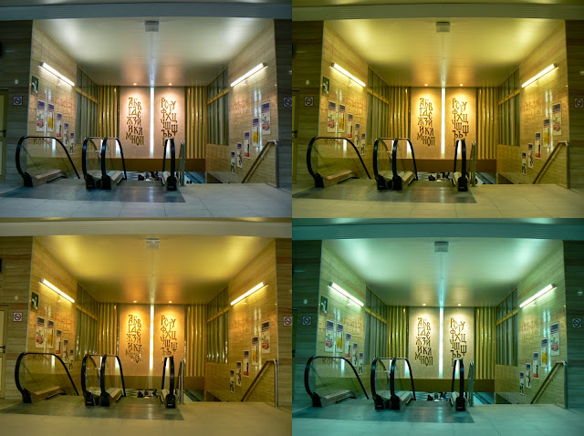 White Balance Assignment - CVHS Photography