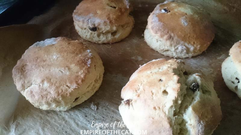 A Short Family History of Scones – Blog Along With Effy Day 5 – Empire ...