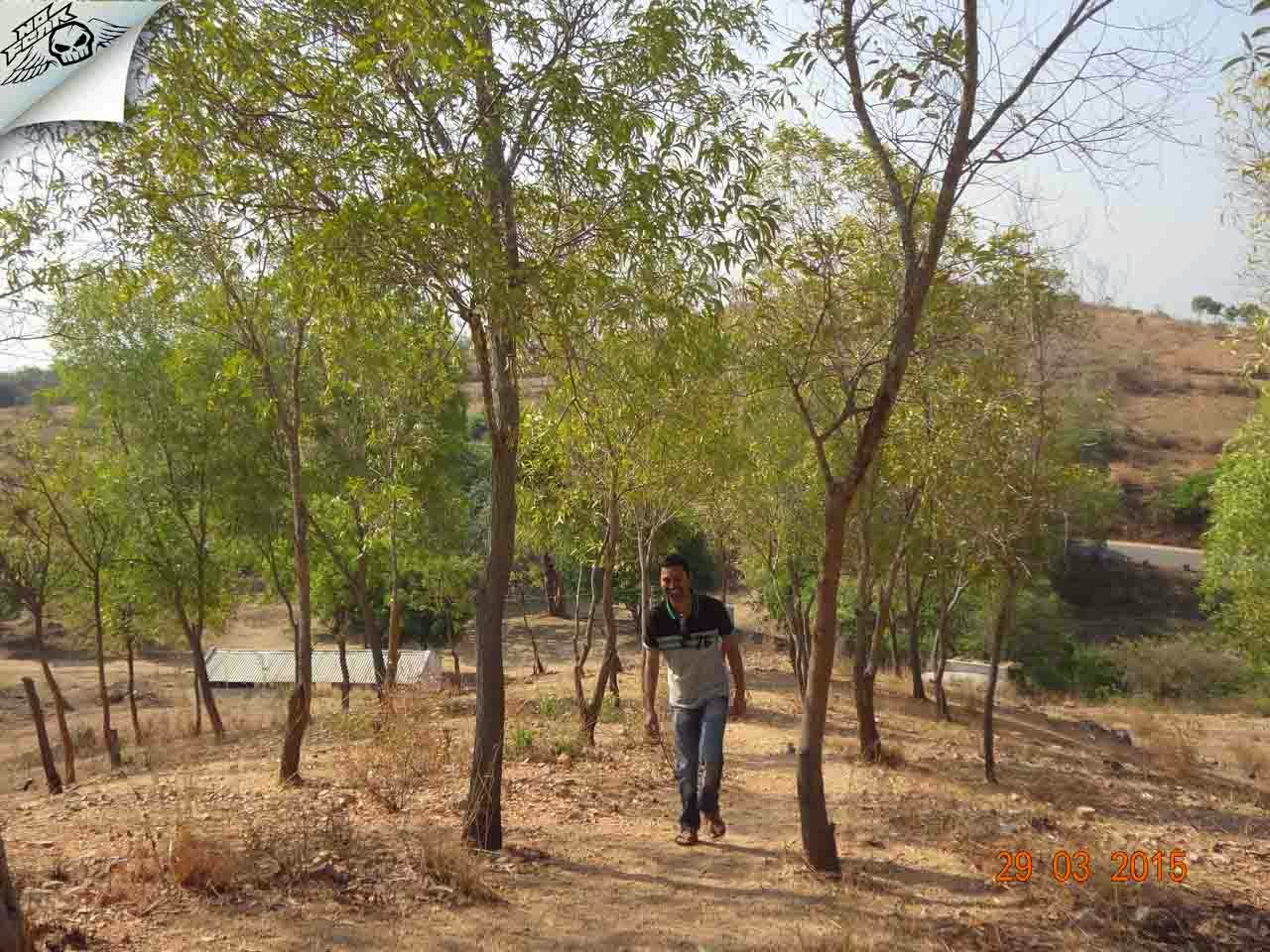 Manchinbele dam - Incredible View 29/03/2015