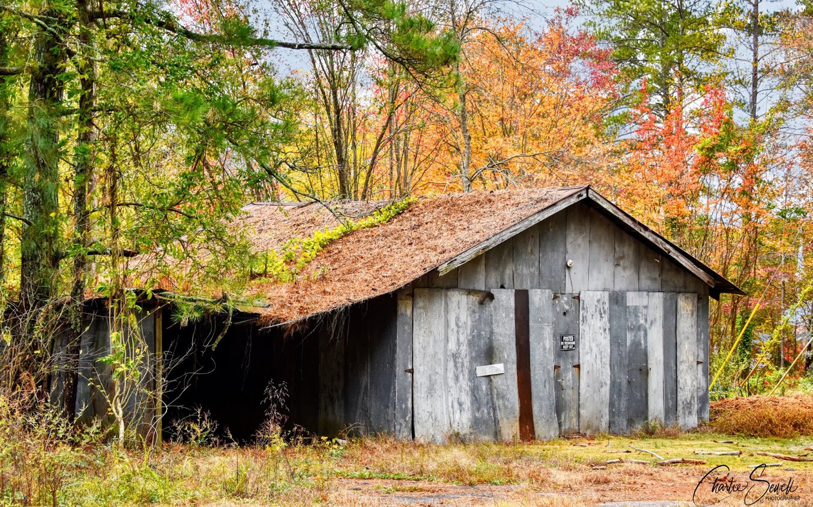 Forgotten Georgia: Old Structure in Cherokee County