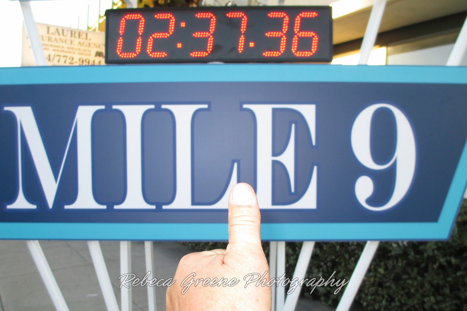 Who's Z? Creations///Rebeca Greene Photography: Tinkerbell Kicked My Butt