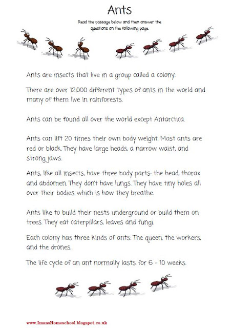Iman's Home-School: Ant Activity Pack