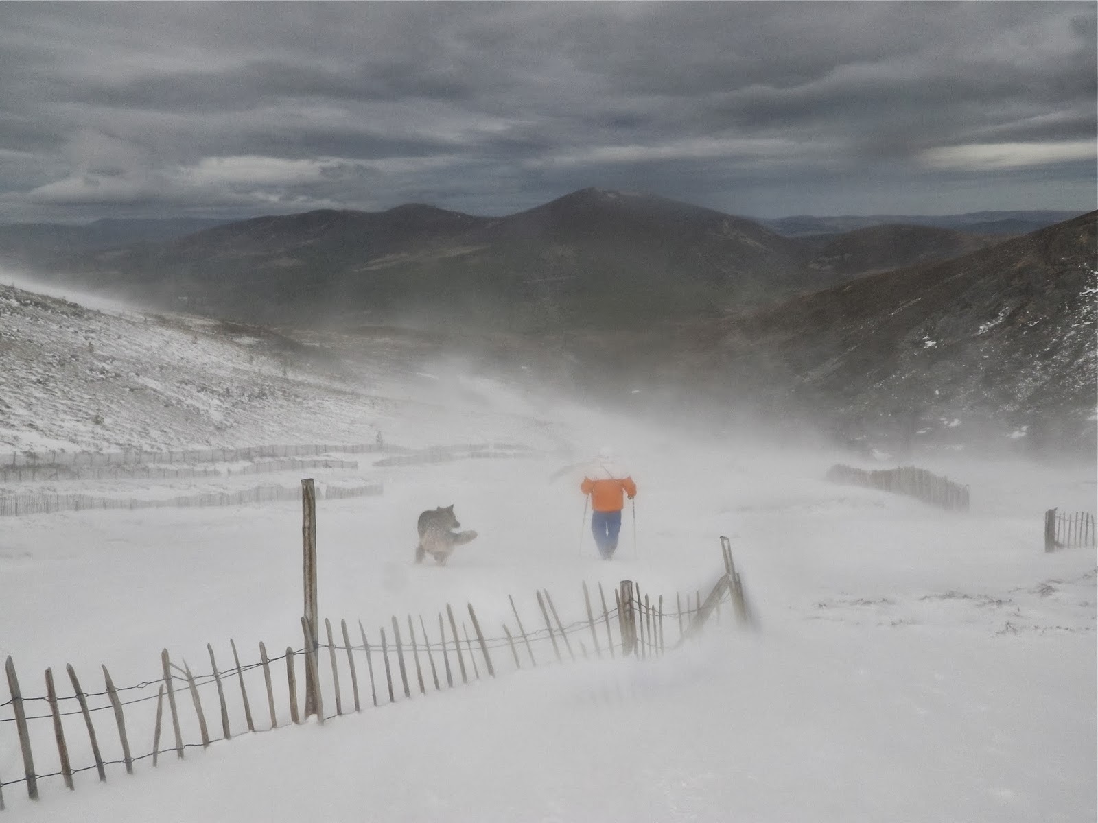 SAIS Northern Cairngorms: Gale force winds