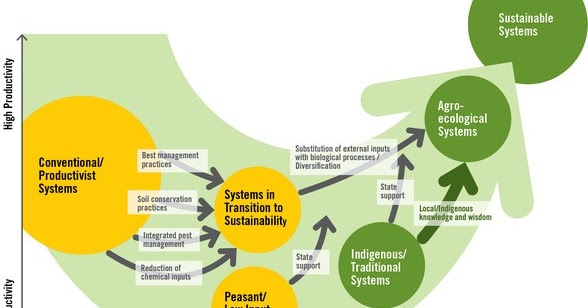PRT2008 GROUP7: TOPIC 3 : AGRO-­‐ECOLOGICAL SYSTEM