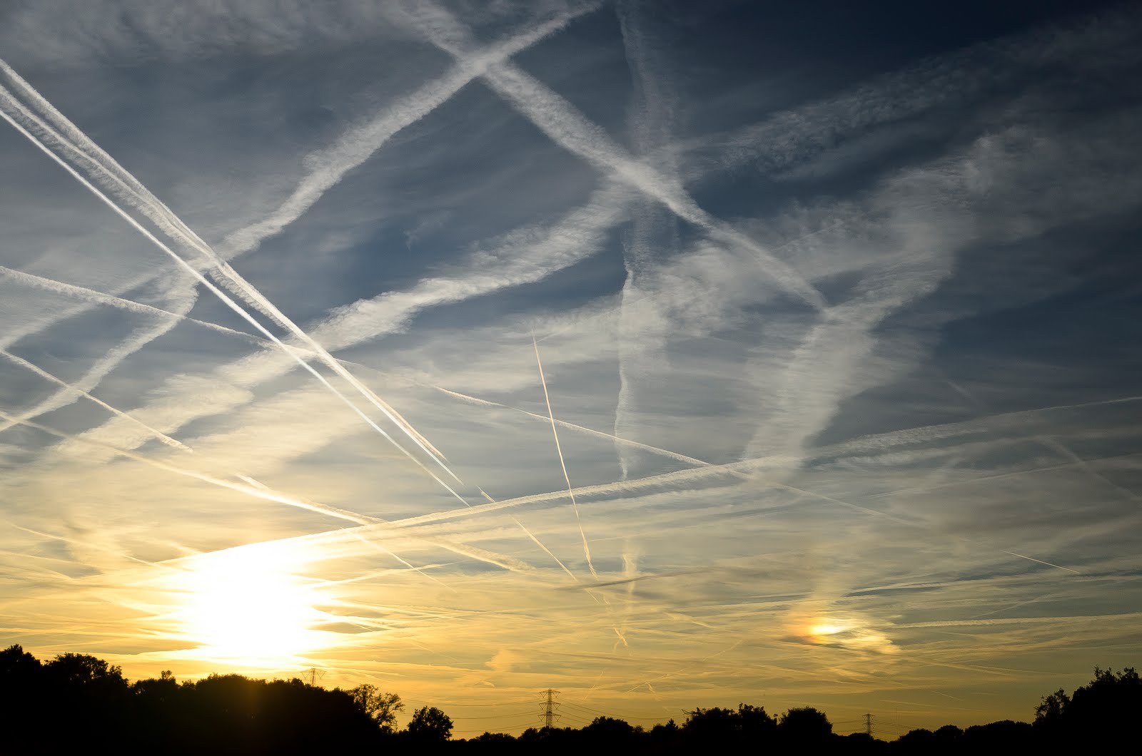 Photography: Halo effect