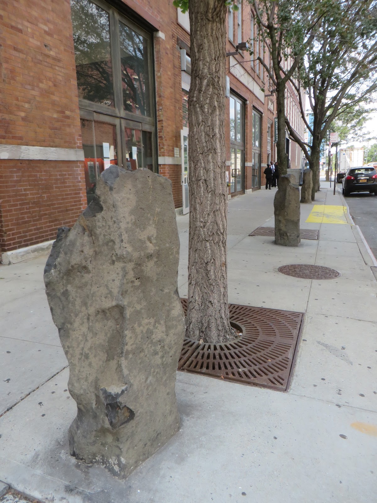 EntreVoir: Joseph Beuys, 7000 Eichen