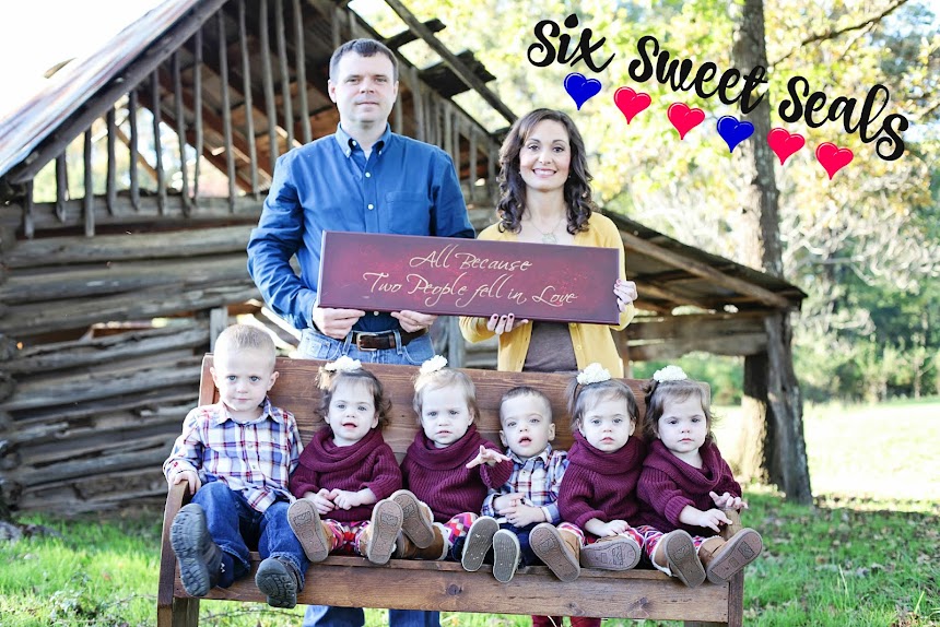 Six Sweet Seals: Quints Pregnancy- Months 1 & 2