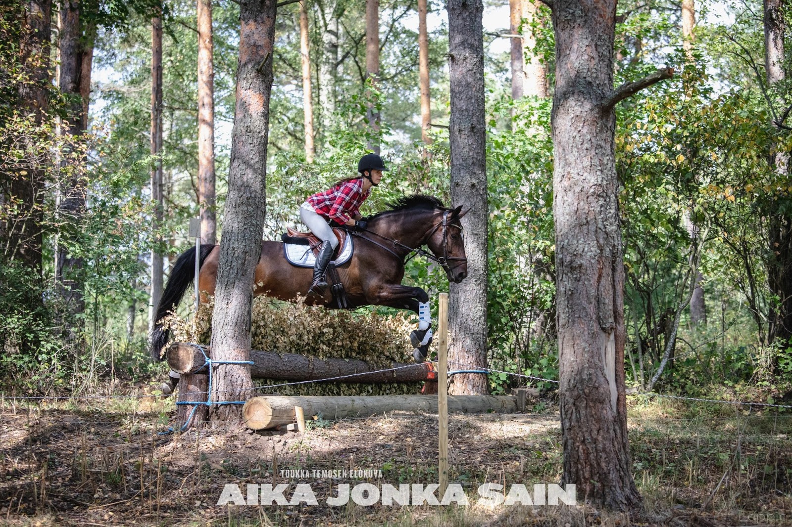Kulttuurikissa: Aika jonka sain