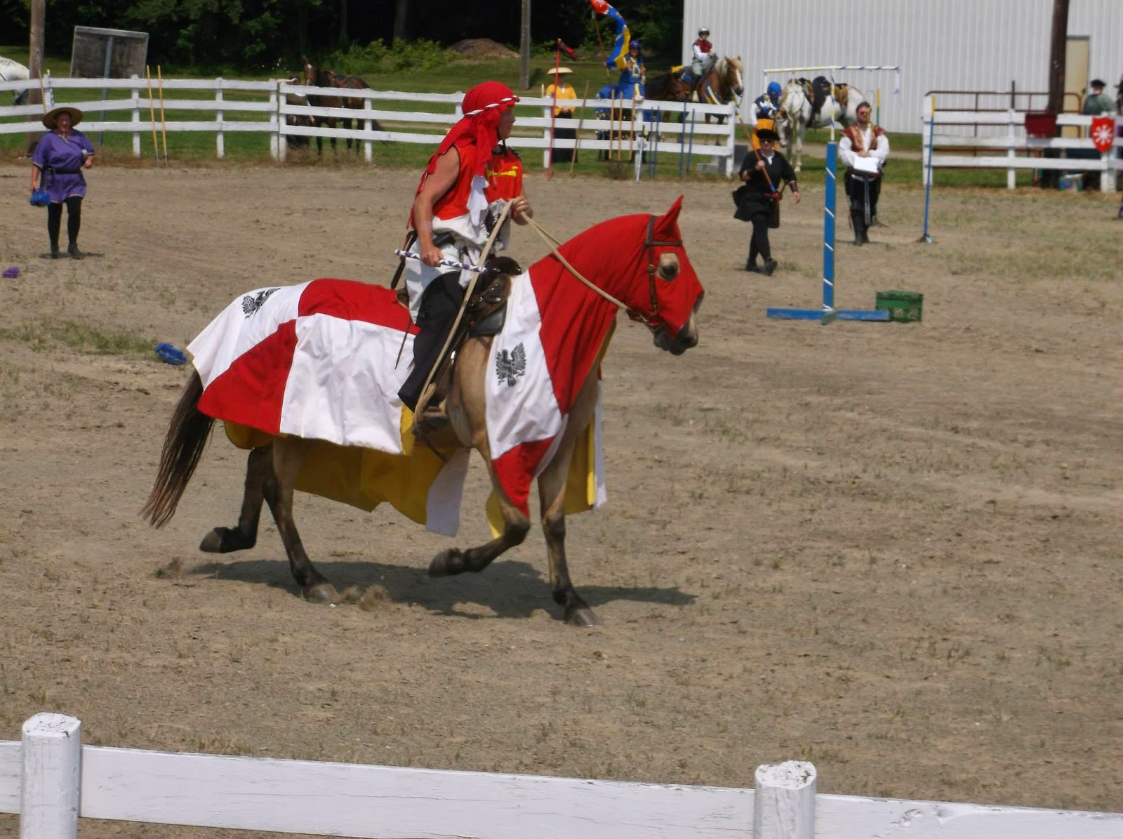 Weiner-Gozen's Blog Page: Heraldic Caparison or Full Barding Project
