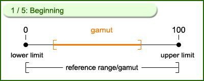EXAMS AND ME : Gamut