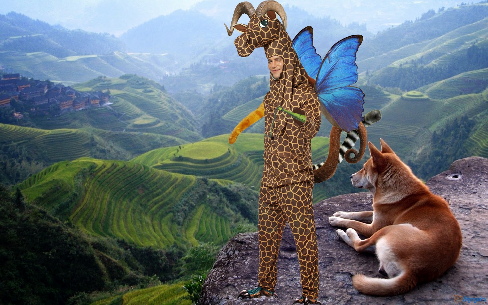 Kaelynn's Llama-licious Blog: Create a Hybrid Creature