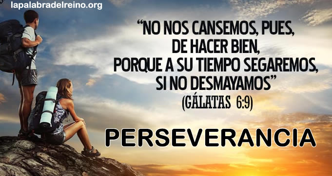 LA PALABRA DEL REINO: EN QUE DEBEMOS PERSEVERAR