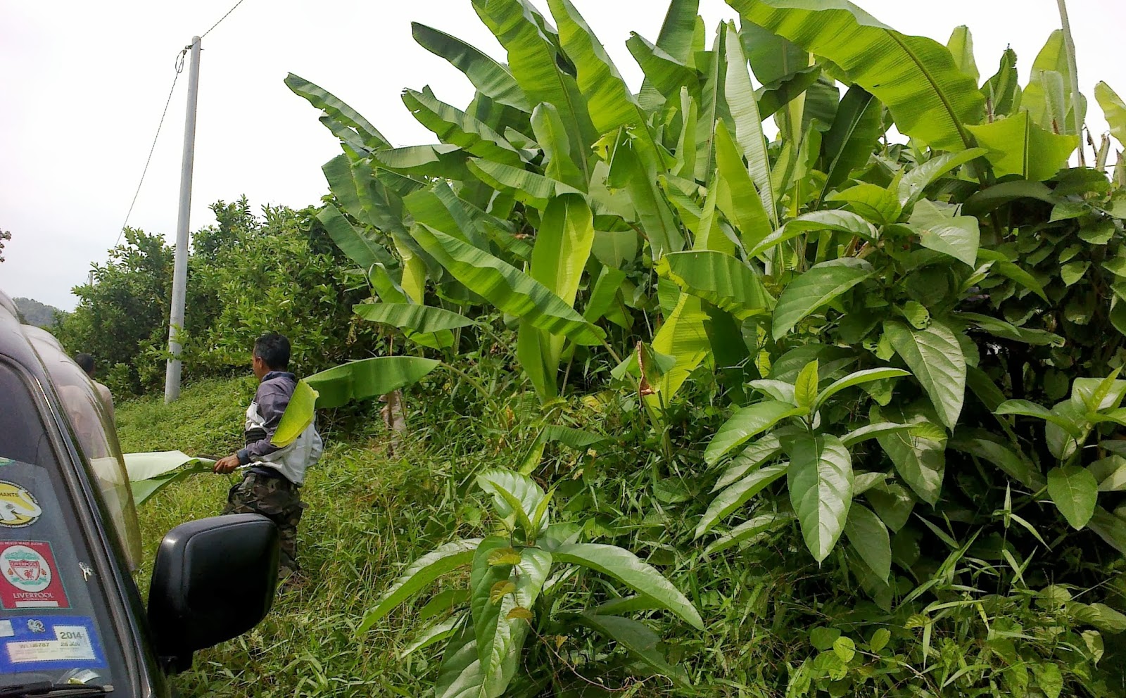Mencari Buluh Dan Membakar Lemang - Taman Rasa Indah - Relaks Minda