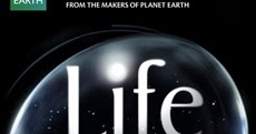 Life BBC | Full HD Σειρά Ντοκιμαντέρ