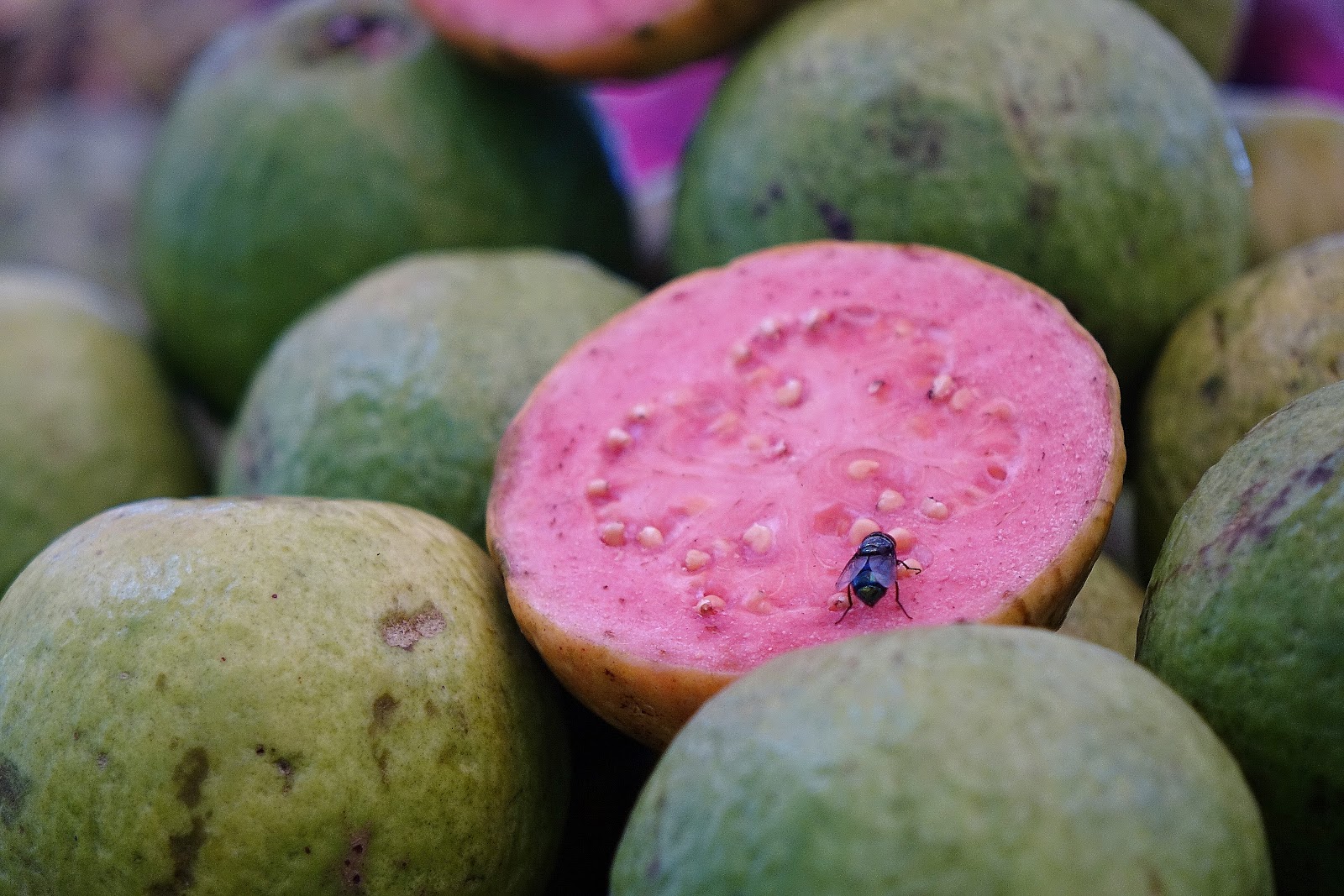 Holiday Greetings from Goa, India