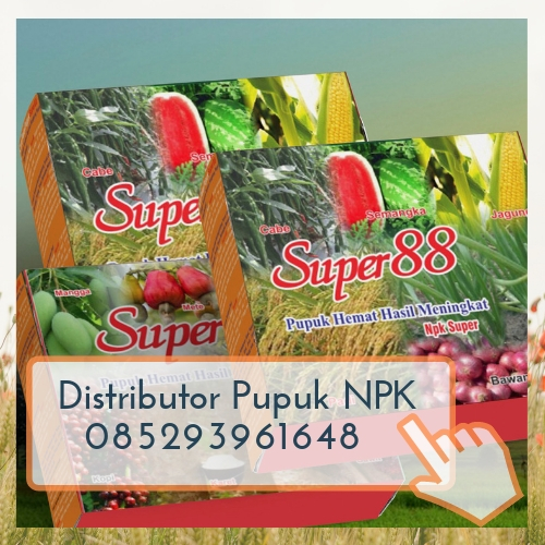 Cara Menggunakan Pupuk NPK | Jual Pupuk NPK Super 88 - 085293961648 Jual Pupuk NPK Organik ...