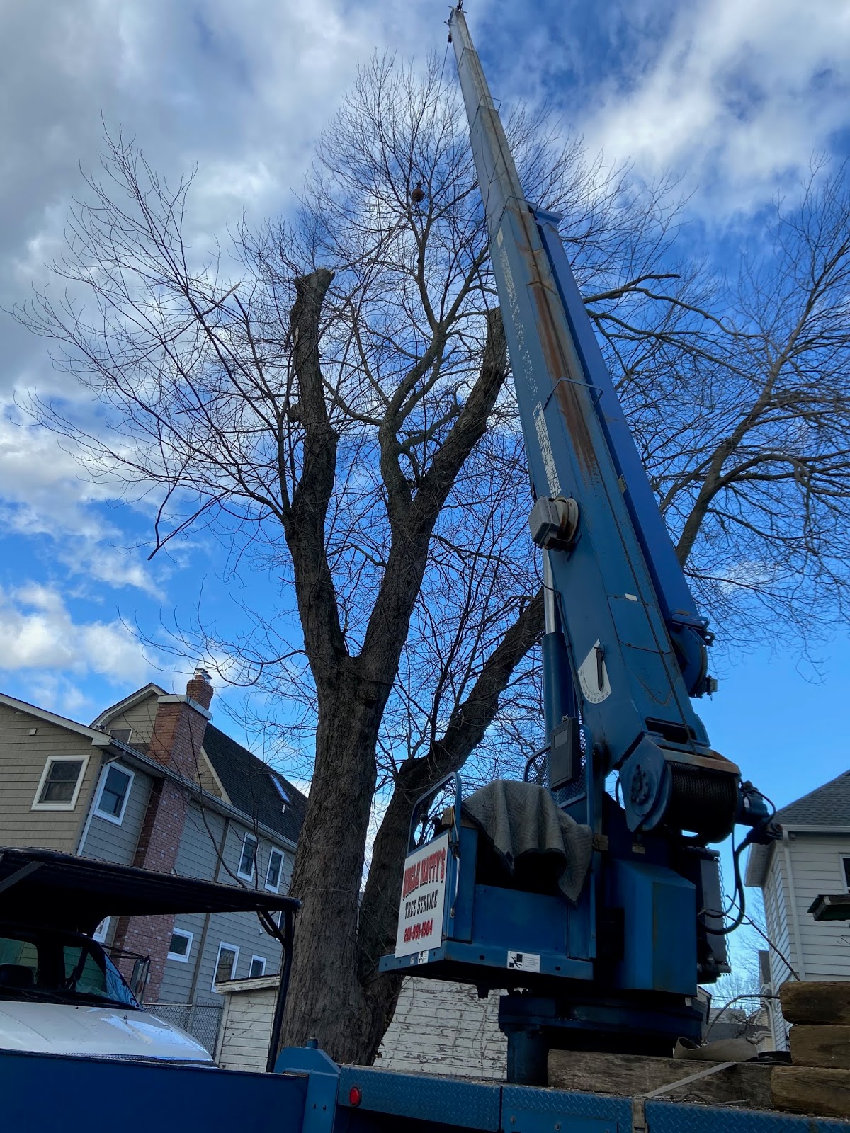 Tree Care in NJ: Tree Service Professionals