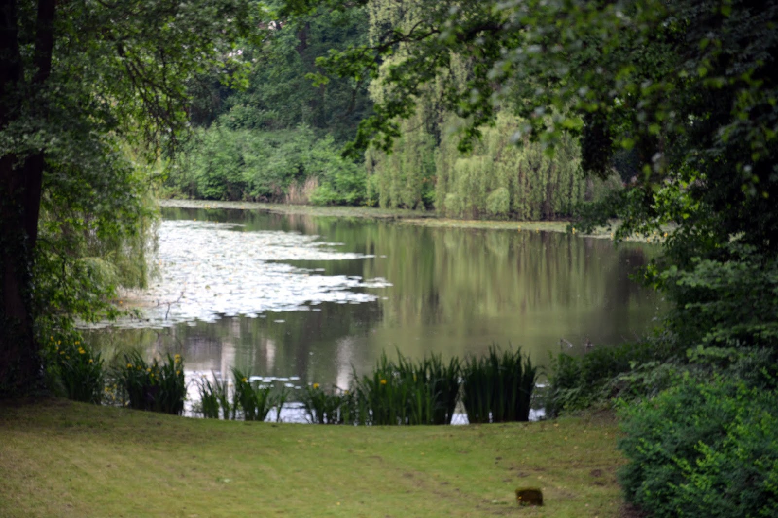 Nürnberginfo: Ebensee und Langsee