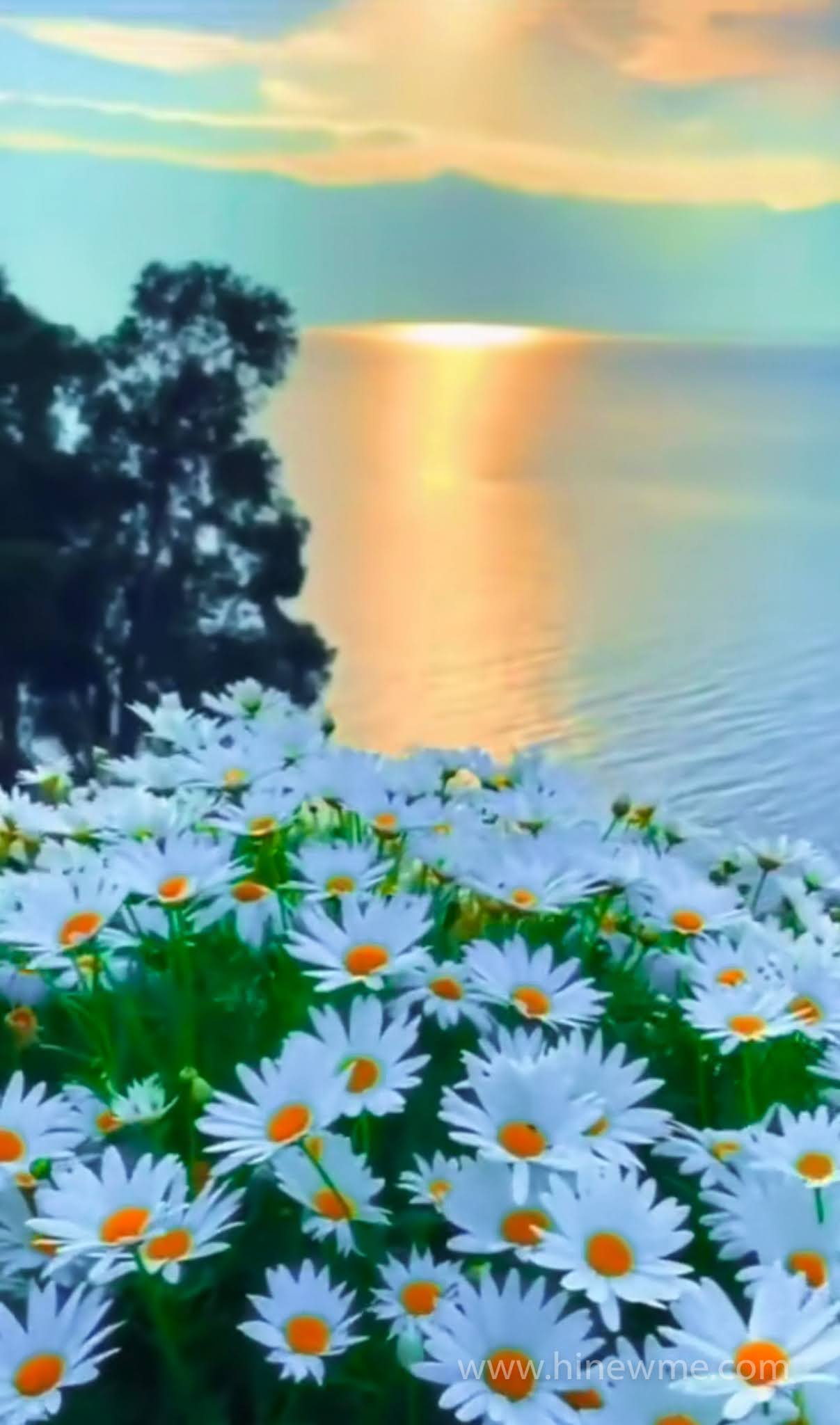 28 flower landscape photograph pictures, 6Flowers photography skill ...