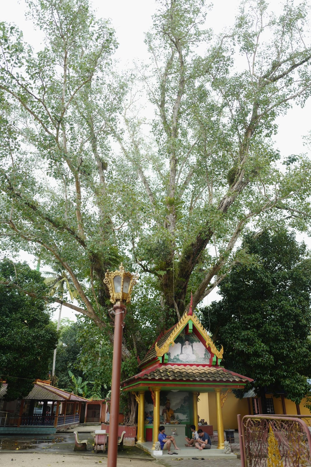 JE TunNel: WAT PHOTHIVIHAN @ Tumpat, Kelantan~ One of the Biggest ...
