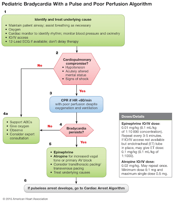 PALS(PEDIATRIC ADVANCED LIFE SUPPORT) ALGORITHMS
