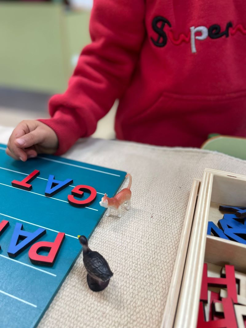 LAS TARJETAS DE TRES PARTES MONTESSORI