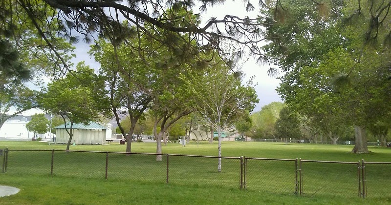 Fuji Park - Carson City - Carson City Family