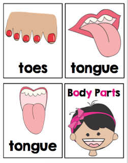 Parts of the Body Cards ~ Preschool Printables