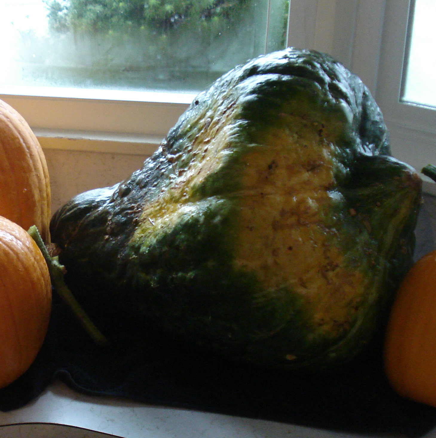 Healthy Family Cookin': Monday Meet Whole Foods: Hubbard Squash