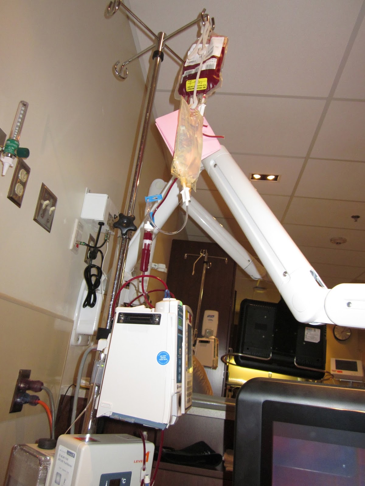 jm's Adventure with Multiple Myeloma: Relapsed High Risk Myeloma - 1 ...