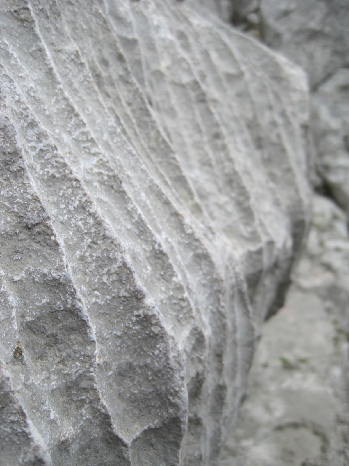 CUMC: Karstic Limestone in Paklenica National Park, Croatia